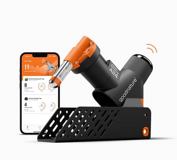 Angus Harrisons Portfolio